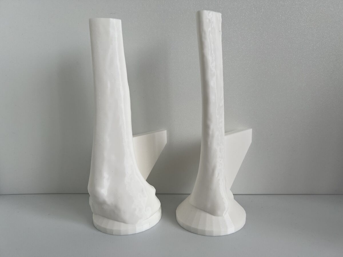 3D Printed Adult Male Tibial Bone Models/Confirm 3D Print Delivery