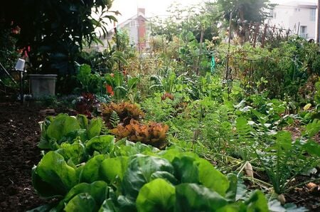 Solarpunk - Appropedia, the sustainability wiki