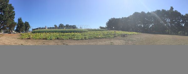 Loleta Elementary rainwater - Appropedia: The sustainability wiki