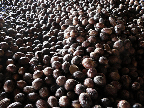 Nutmeg - Appropedia: The sustainability wiki